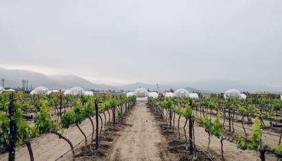 Domespaces | Bubble Domes| Igloo