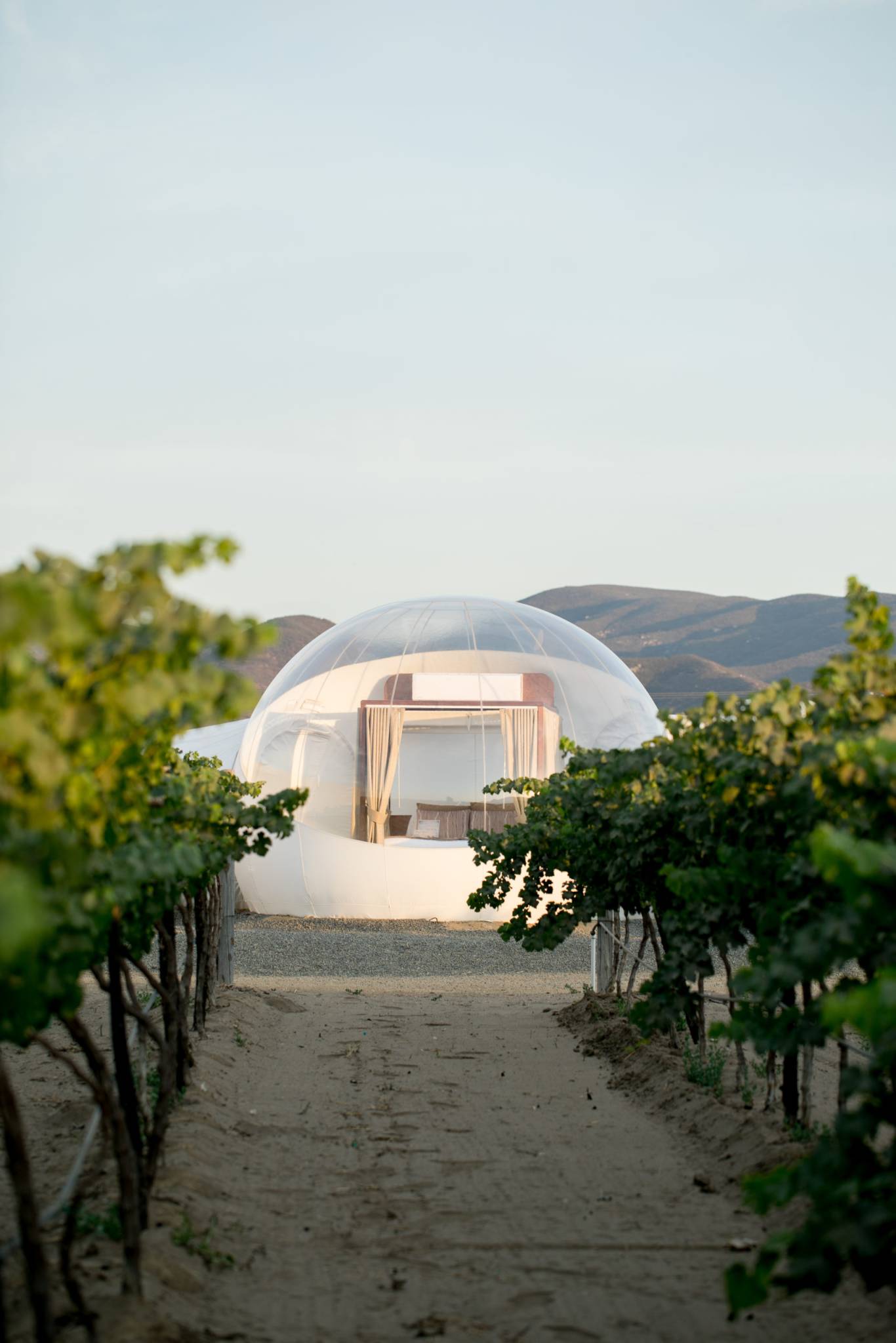 Domespaces | Bubble Domes| Igloo