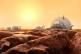 Glass Domes On Mars : Elon Musk's Incredible Project